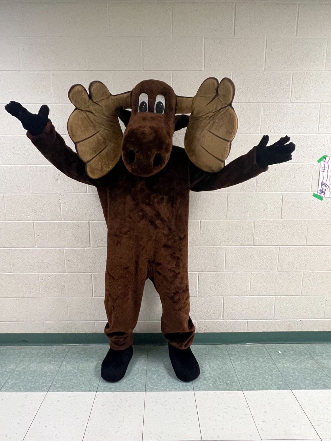 Bruce the Moose’s Book Nook, January Scholastic Flyers – MOOSE TRACKS